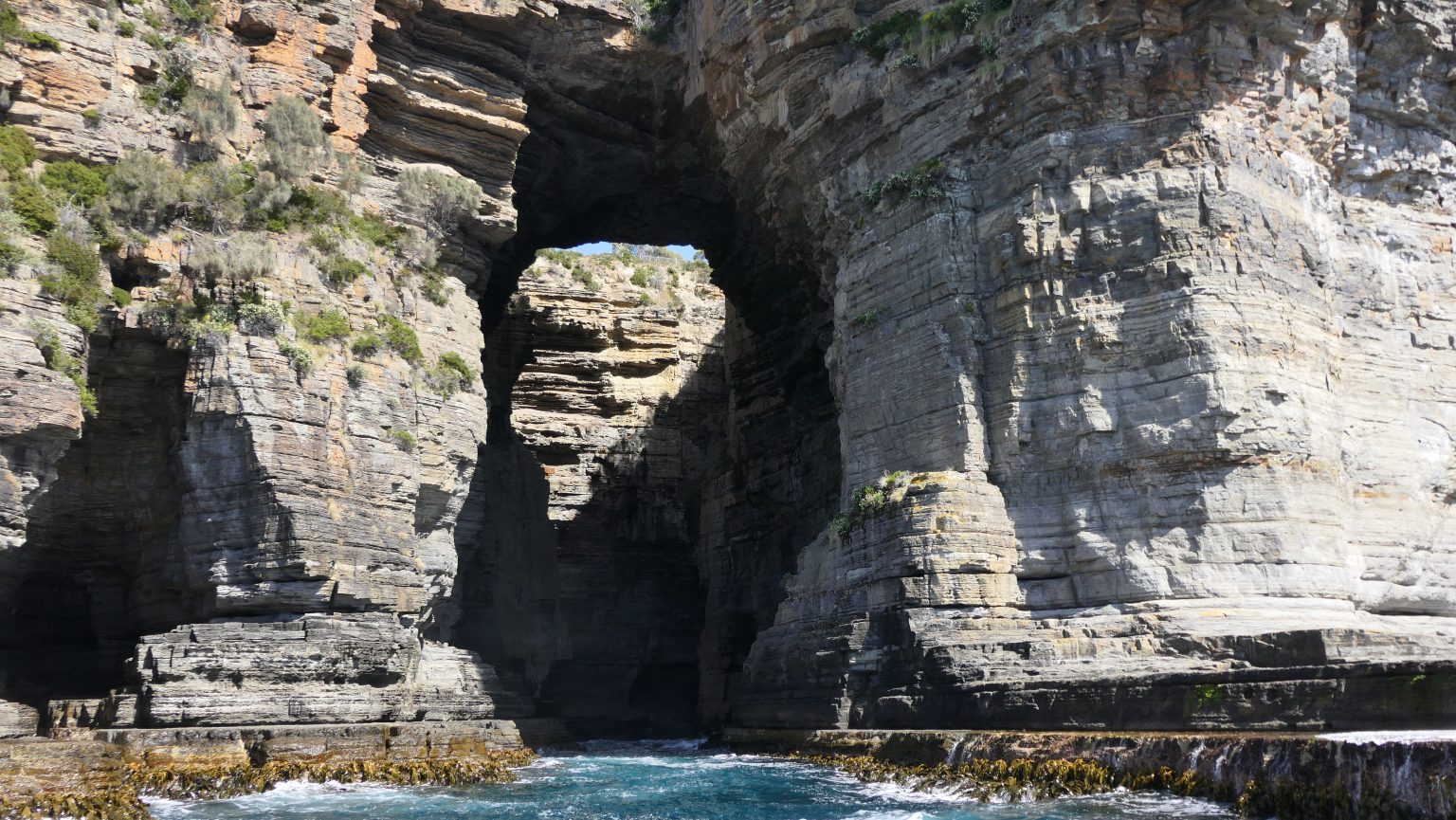 Voyage Log: Circumnavigation Of Tasmania - Coral Discoverer