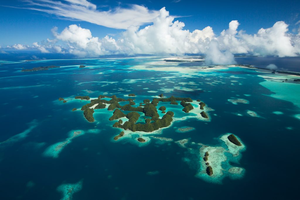 Ultimate Dive Sites - Palau | Coral Expeditions